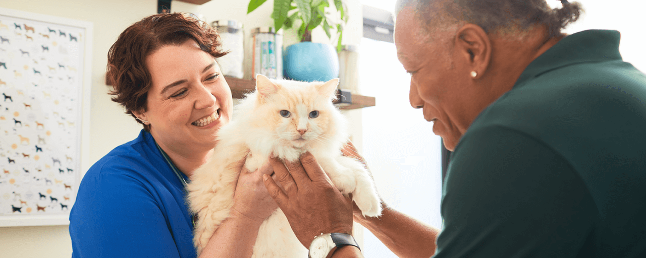 15+ tips for improving the client experience in your veterinary ...