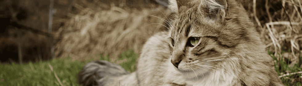 The power of getting team buy-in – A path toward boosting productivity ...