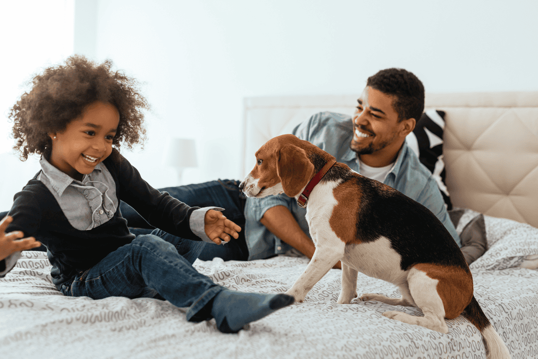 15 Fun Facts About Pet Ownership Vetsource 15-fun-facts-about-pet-ownership-vetsource