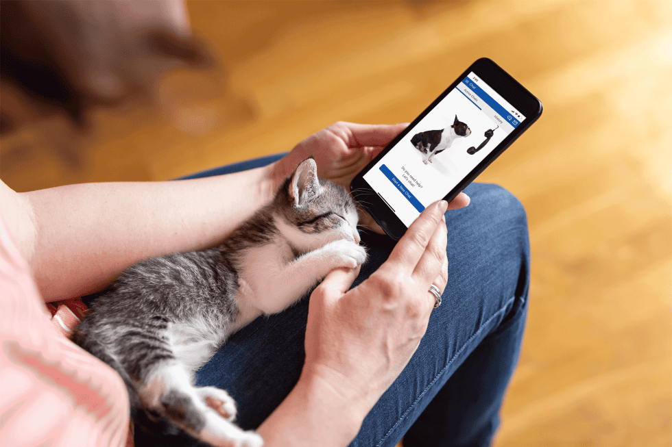 Try Vet2Pet App's 2-Way Chat Feature - Vetsource