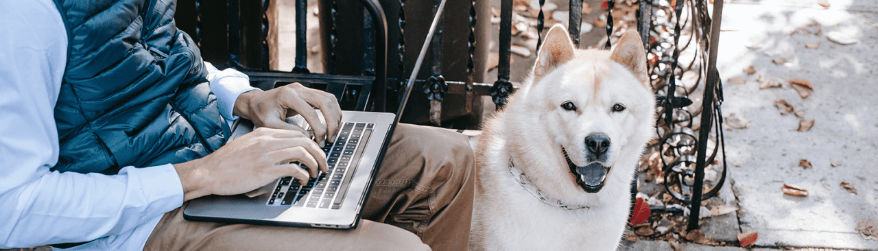 Buying vs. Building Your Veterinary Practice Reporting - Vetsource