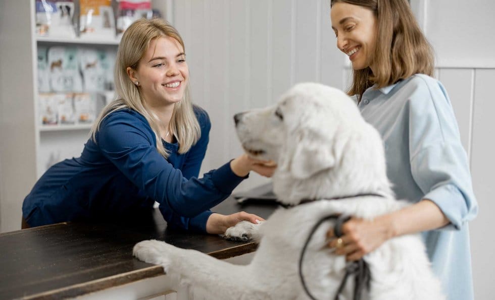 10 Ways to Enhance the Veterinary Client Experience- Vetsource