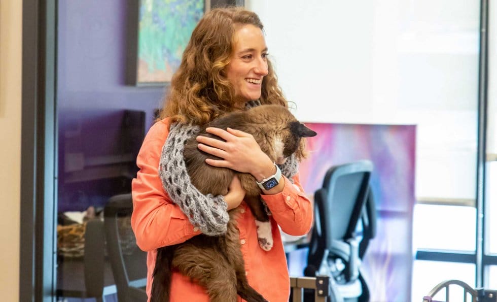 Simple Tips For a Positive Veterinary Practice Culture - Vetsource