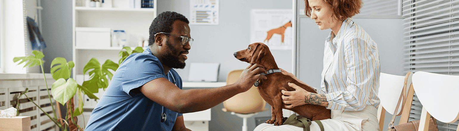 Develop a Resilient Environment in Your Vet Practice | Vetsource