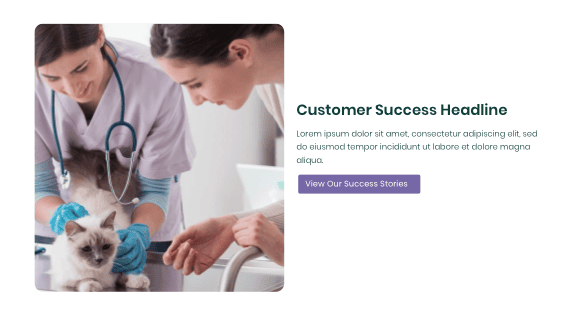 Build or Buy a Custom Veterinary Practice App? - Vetsource