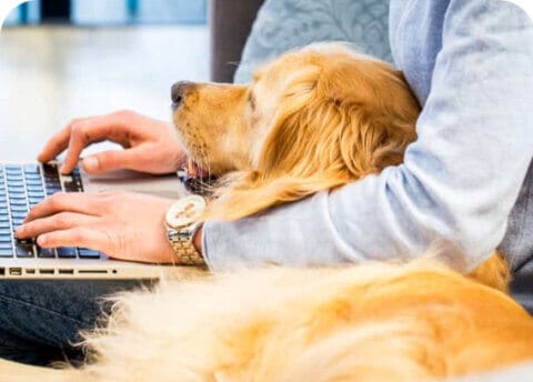 Vetsource for Pet Owners, Find Your Vetsource Login - Vetsource