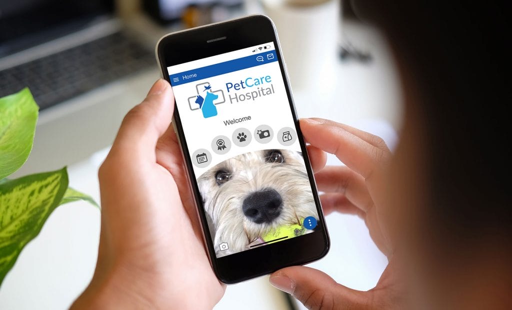 Increase Your Veterinary Practice's App Downloads - Vetsource