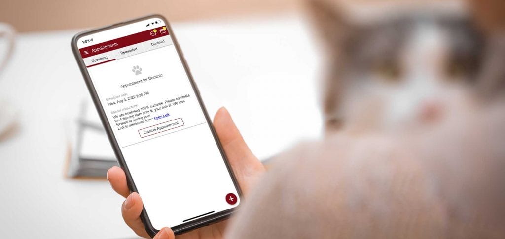 Modernize Your Practice's Forward Booking Program - Vetsource
