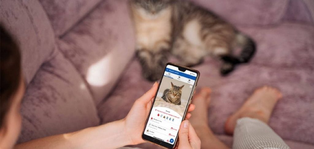 Reduce Phone Calls With Your Vet Practice's App Vetsource