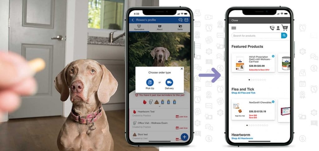 Hacks to improve your veterinary practice efficiency - Vetsource