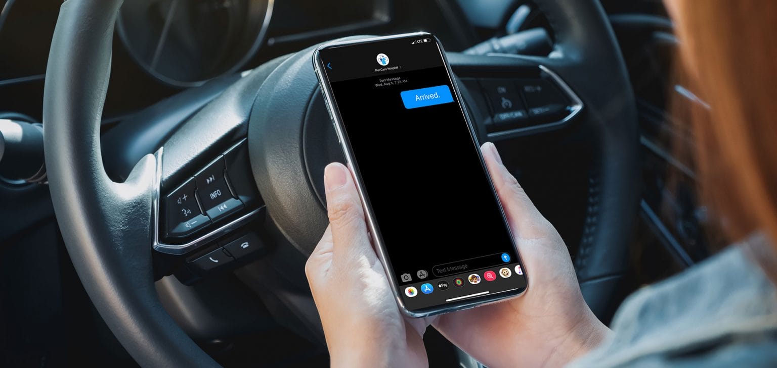 Improve Your Veterinary CSR Efficiency | Vetsource