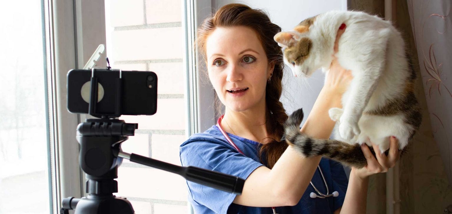 Make Your Veterinary Job Ad Stand Out - Vetsource