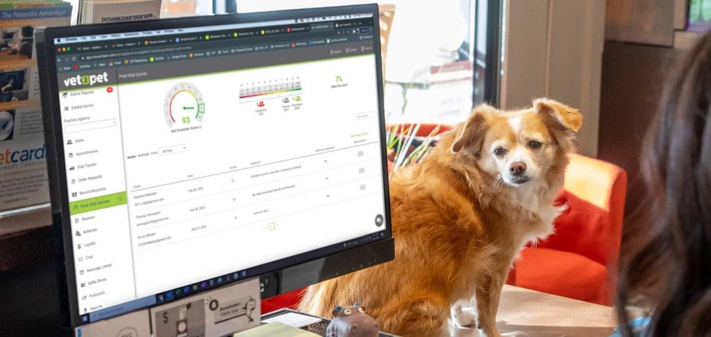 Why Client Feedback Matters to Veterinary Practices - Vetsource