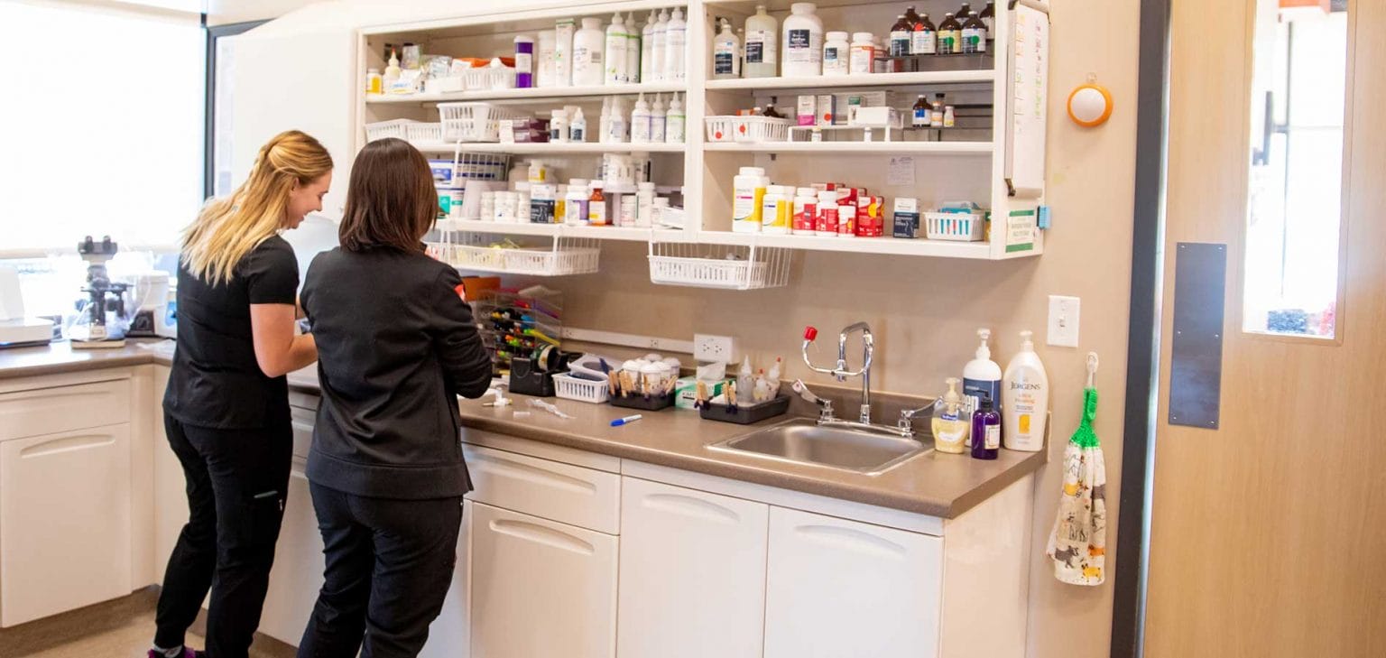 8 Tips to Maximize Your Veterinary Practice Efficiency - Vetsource