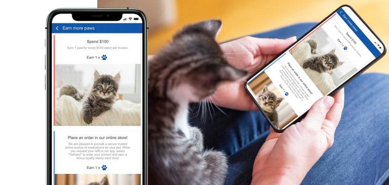 Vet2Pet Platform Features You Should Be Using | Vetsource