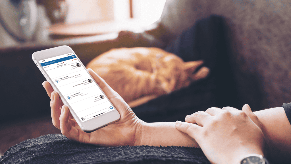 10 Ways to Enhance the Veterinary Client Experience| Vetsource