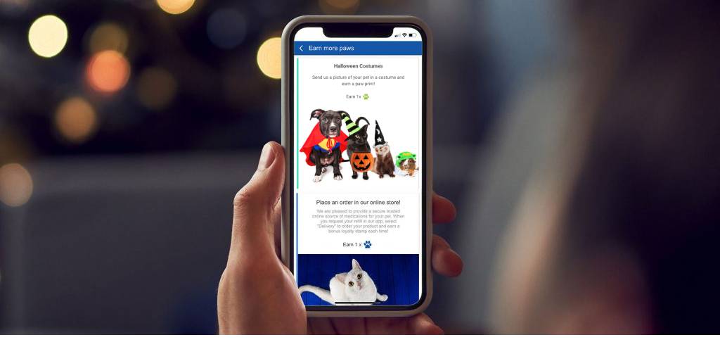 Build a Successful Veterinary Loyalty Program | Vetsource