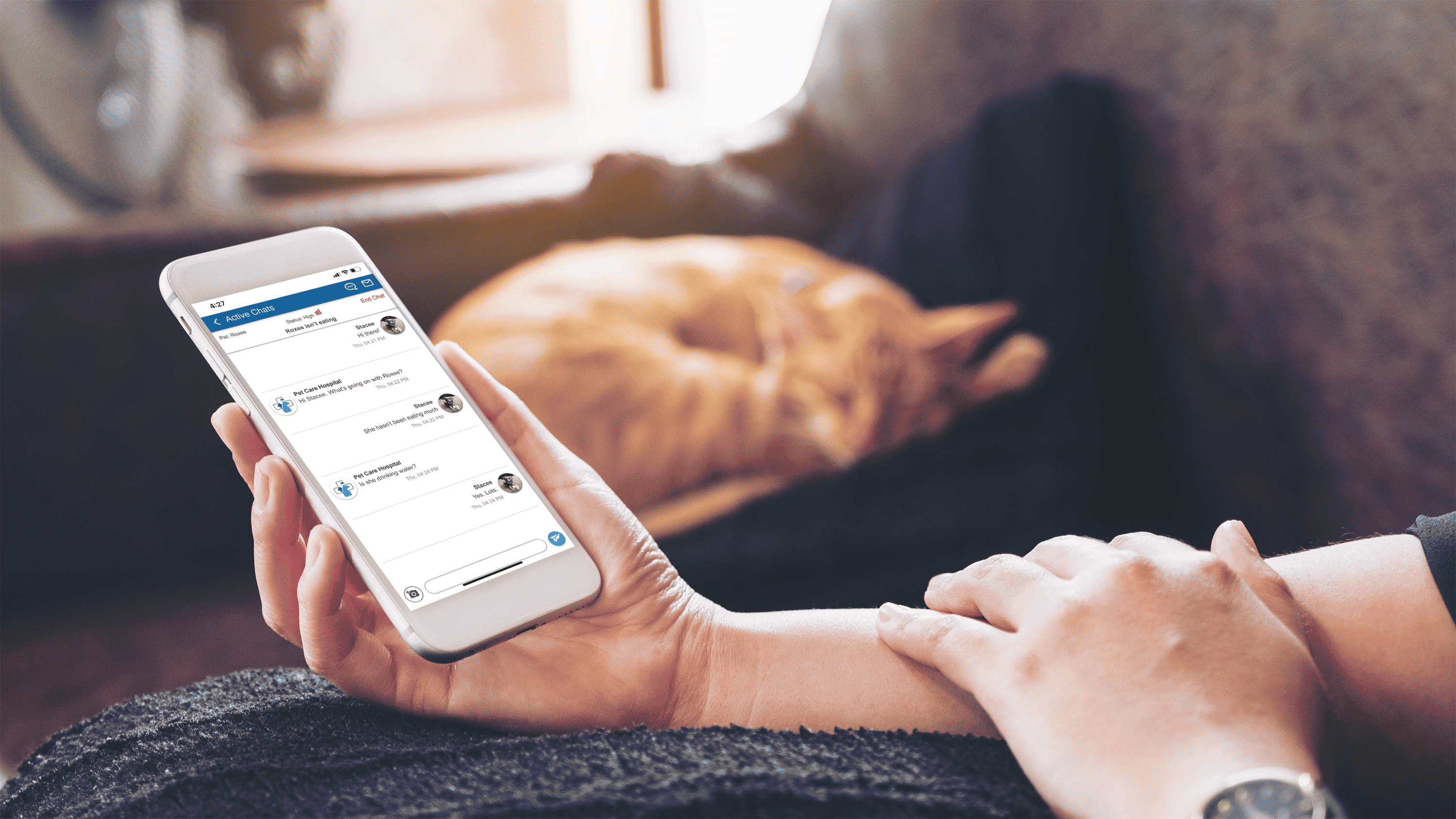 10 Ways to Enhance the Veterinary Client Experience| Vetsource