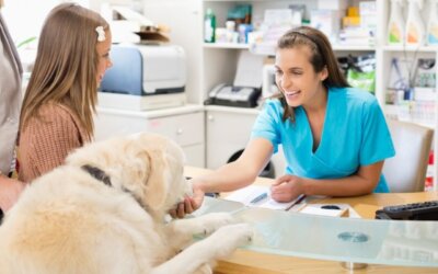 2023 trends in veterinary client experience and customer service ...