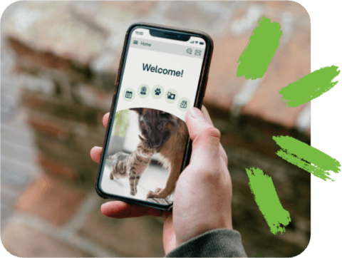 Veterinary Prescription Management - Vetsource