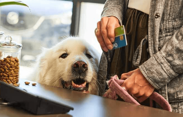 Streamline and Simplify Payment Processing - Vetsource
