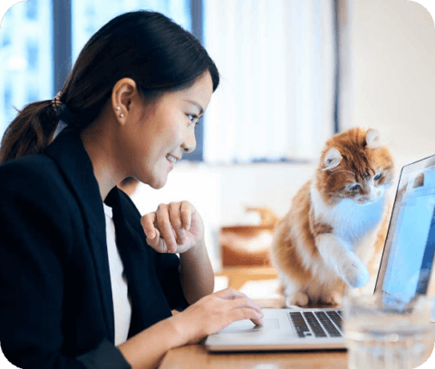 Streamline and Simplify Payment Processing - Vetsource