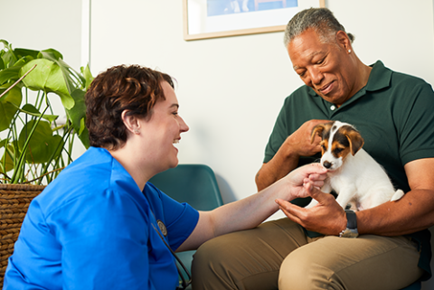 A Brighter Future For Pet Healthcare - Vetsource