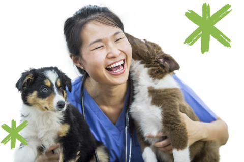 A Brighter Future For Pet Healthcare - Vetsource